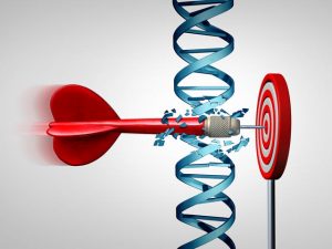 Targeted Therapy - Belong Cancer